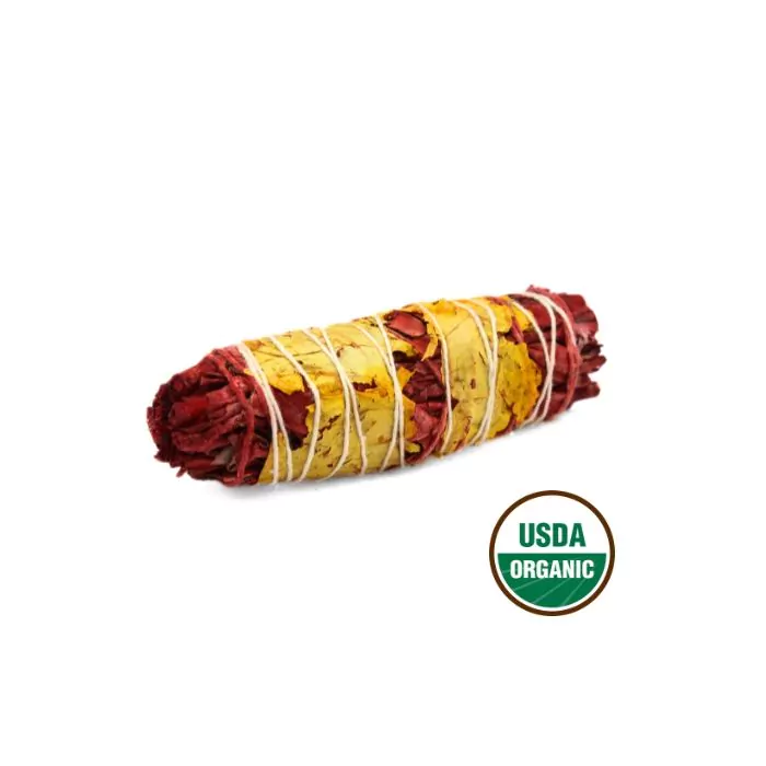 Dragons Fire Sage 10cm | Fix My Hair | Voor 16.00u morgen in huis!